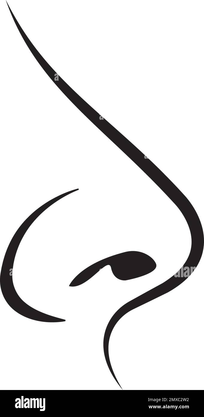 Vectores de anatomia de la nariz Banque d'images noir et blanc - Alamy