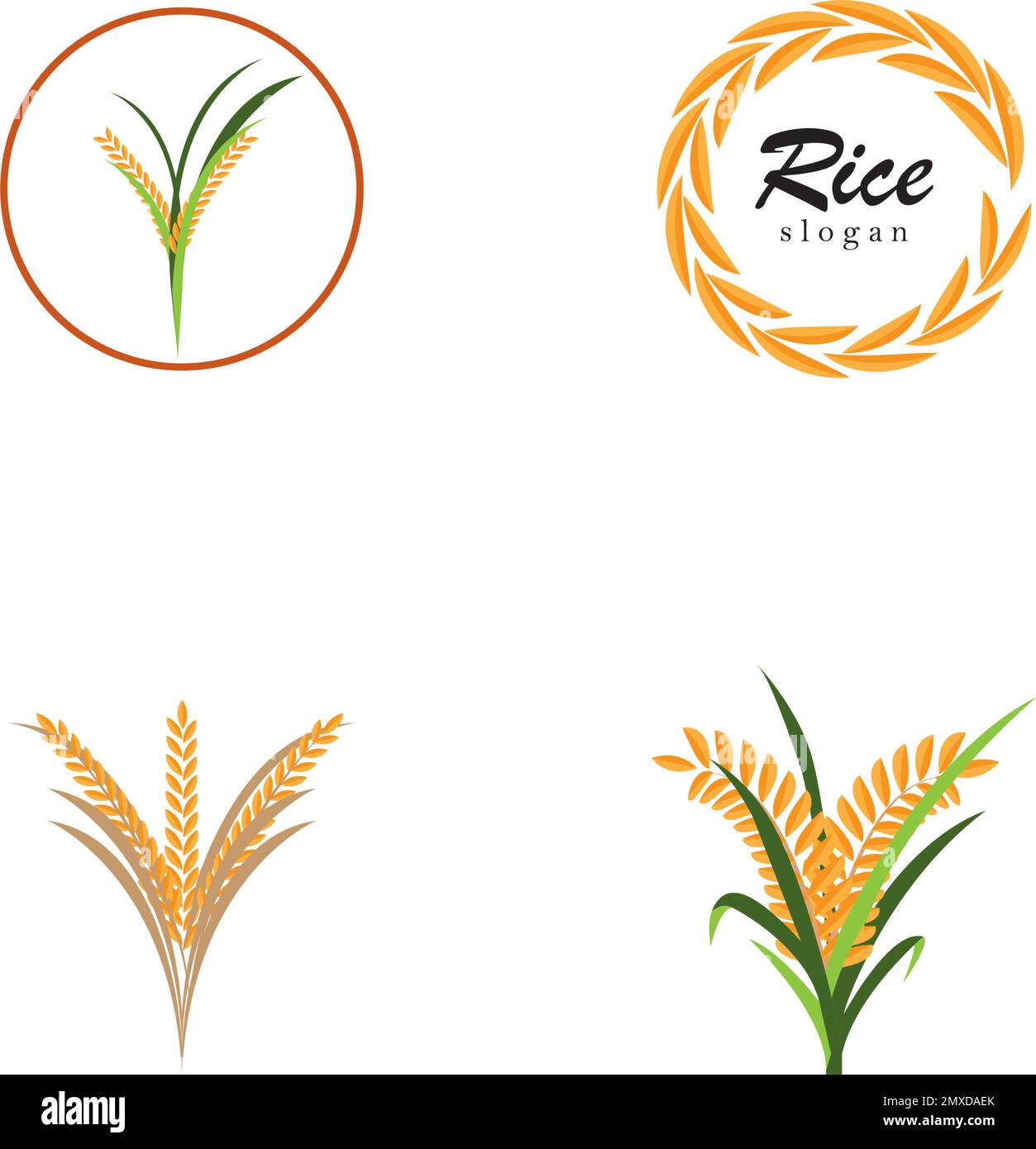 Graine de riz Banque d'images vectorielles - Alamy