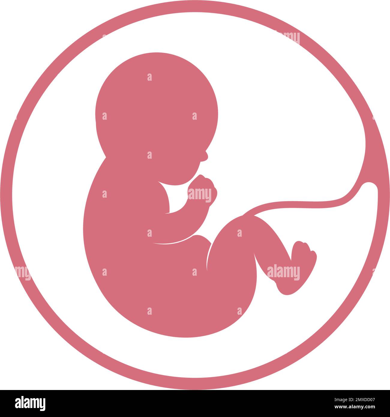 Logo du fœtus dessin d'illustration vectorielle Image Vectorielle Stock ...