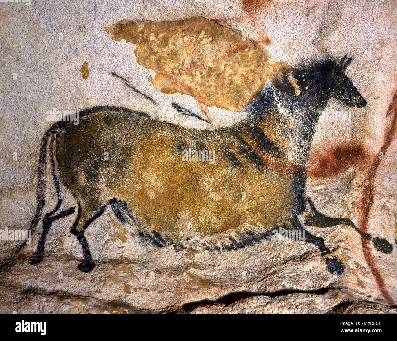 Grottes de lascaux Banque de photographies et d’images à haute ...