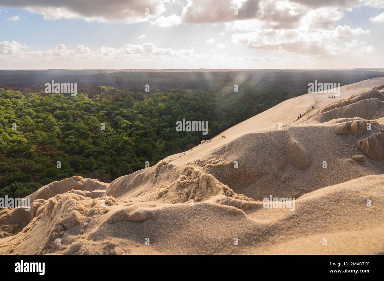 La dune du Pilat sur la côte atlantique de la Nouvelle-Aquitaine est la ...