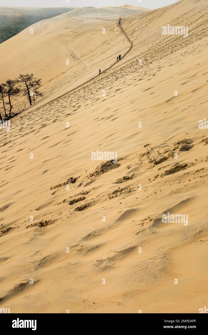 La dune du Pilat sur la côte atlantique de la Nouvelle-Aquitaine est la ...