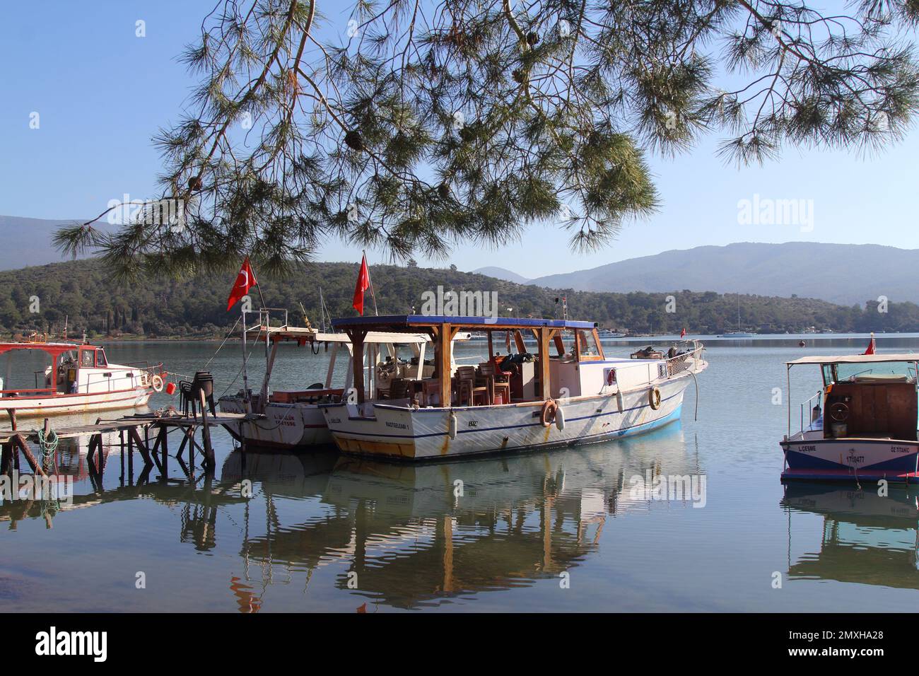 Milas, Mugla, Turquie : 24 janvier 2023 dans le village de Kazıklı du ...