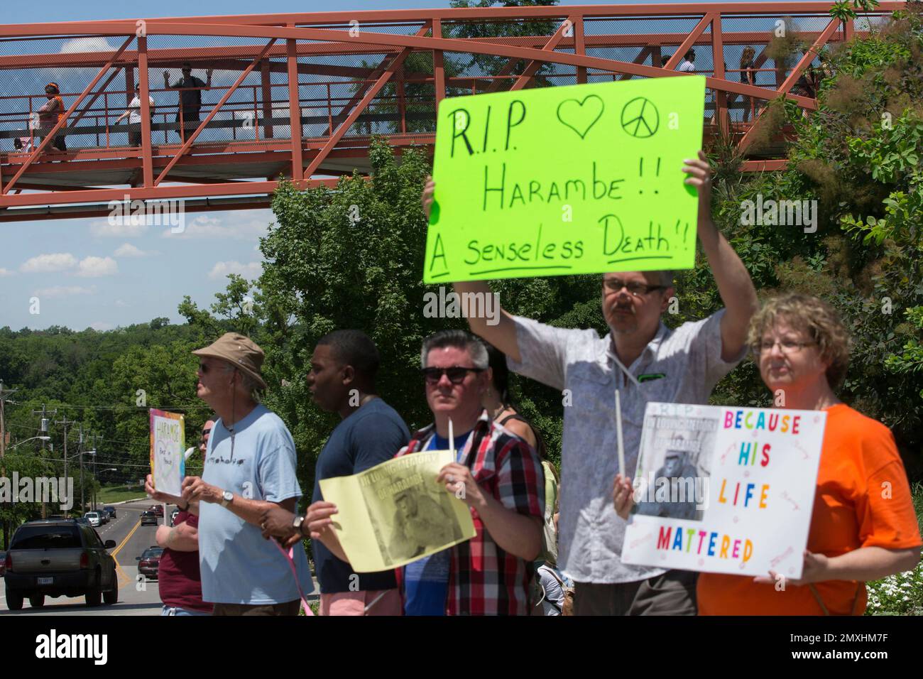 FILE - In This May 30, 2016 file photo, zoo visitors look at protestors ...