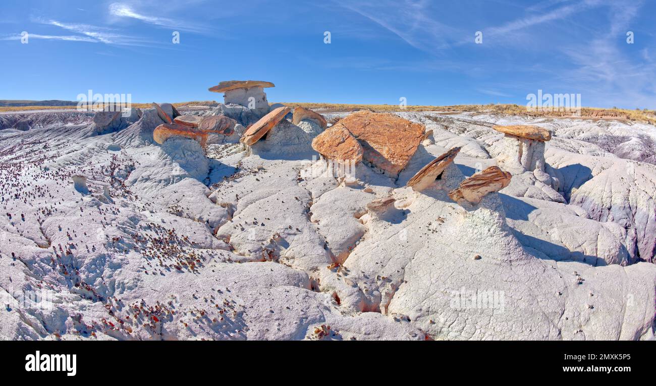 Des dalles de pierre le long de la piste du bassin Rouge, appelées ...