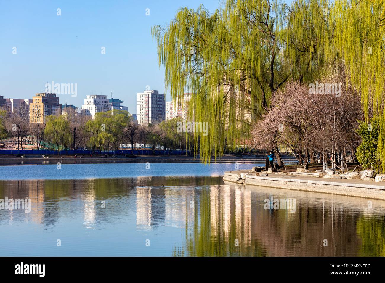 Yuyuantan park beijing Banque de photographies et d’images à haute ...