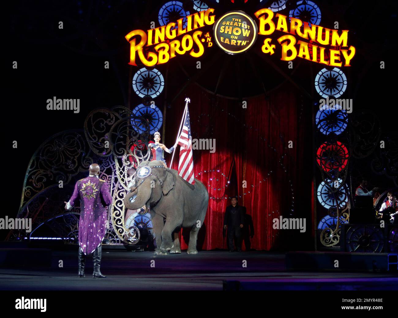 An Asian elephant performs during the national anthem for the final ...