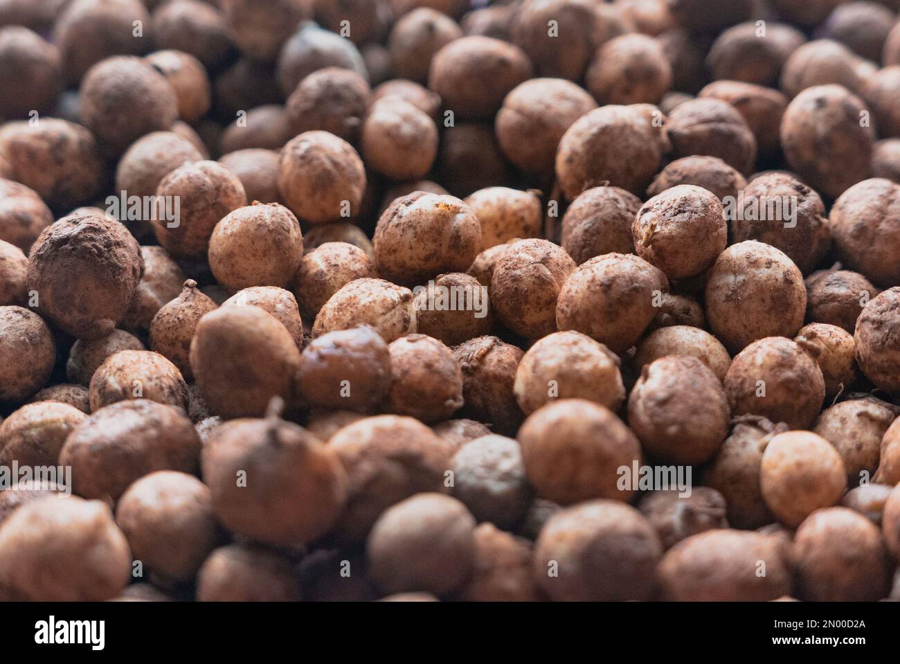 Vigna souterrain Banque de photographies et d’images à haute résolution ...