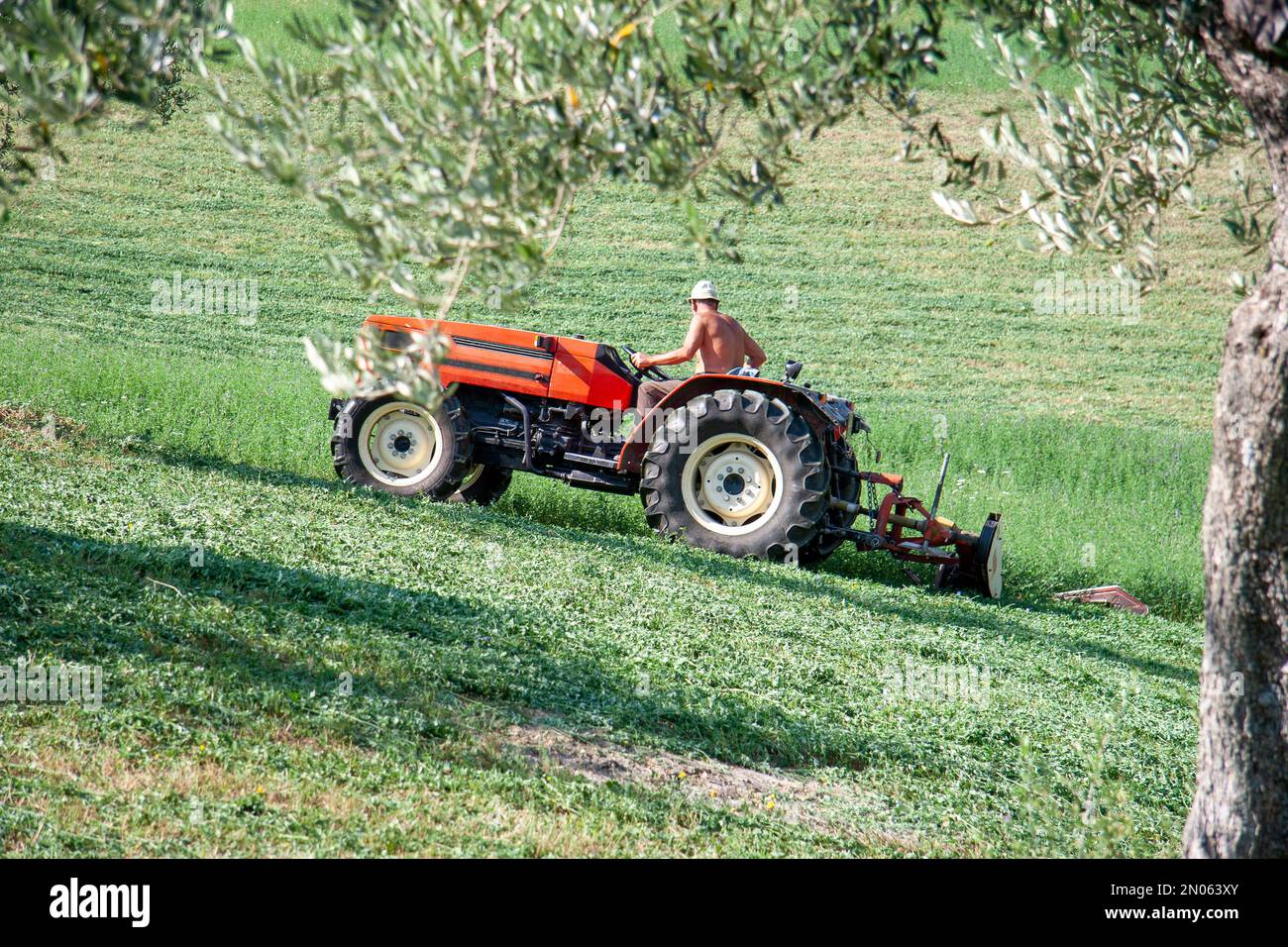 Agriculture traditionnelle. Un agriculteur travaille sur un tracteur ...