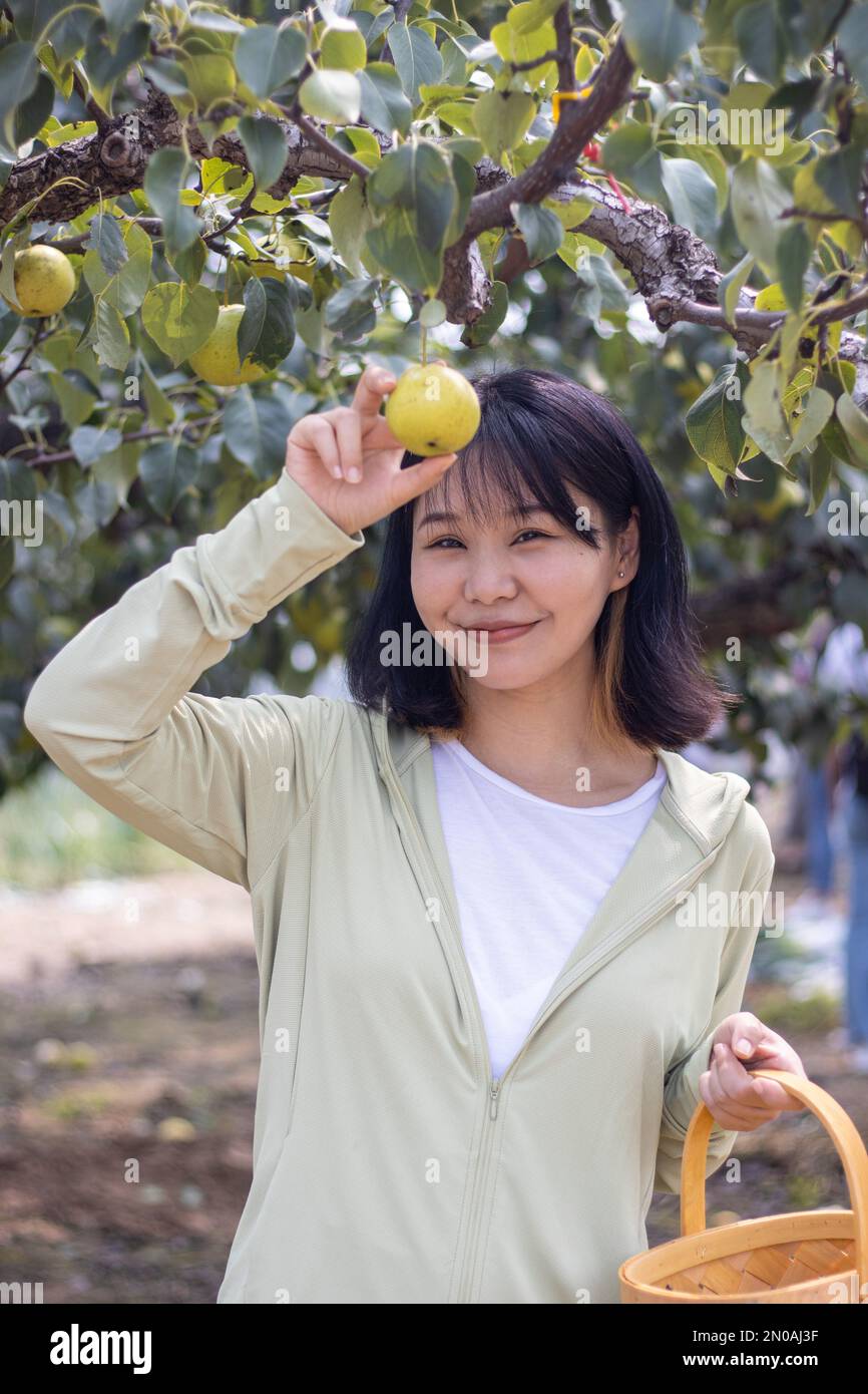 Femme dans un verger Banque de photographies et d’images à haute ...