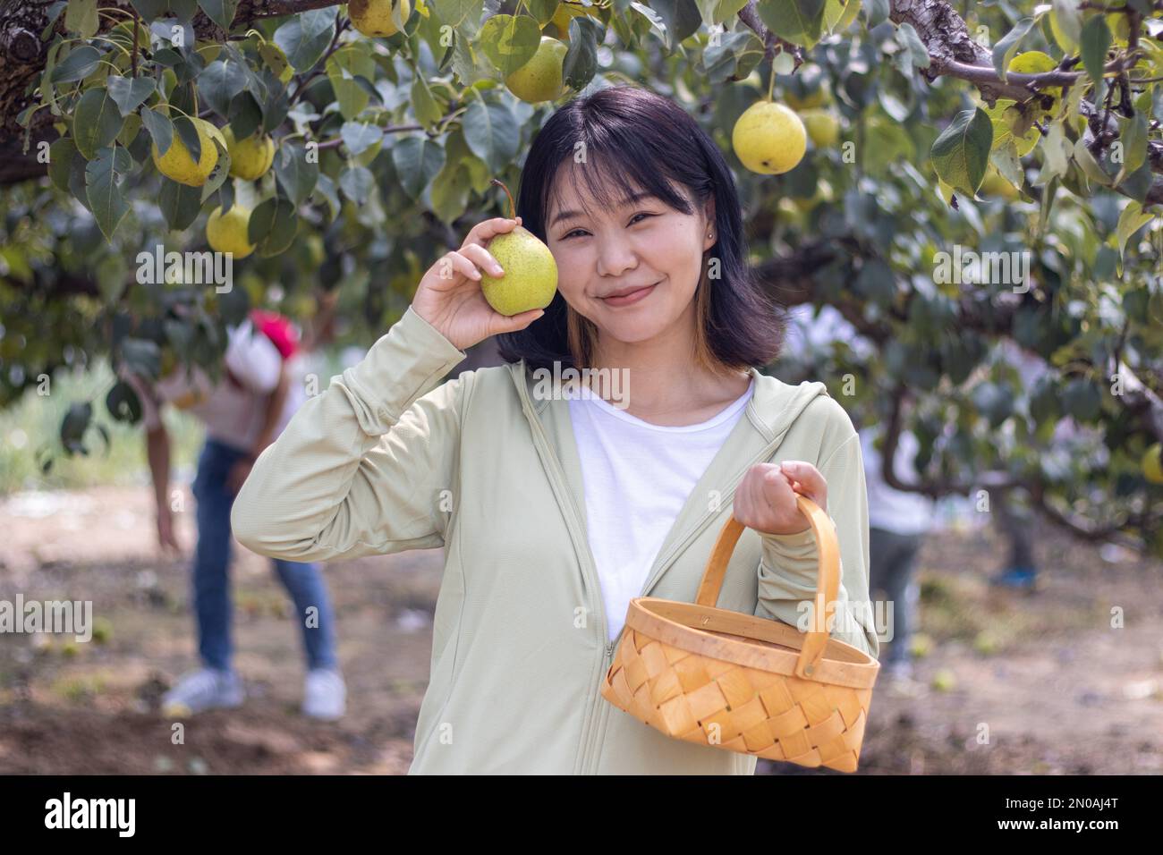 Femme dans un verger Banque de photographies et d’images à haute ...