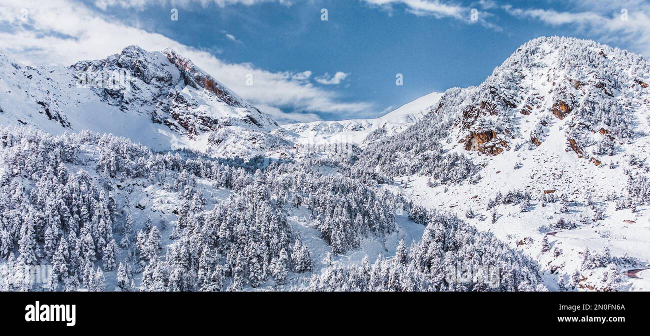 Vue panoramique sur les magnifiques montagnes enneigées et la forêt ...