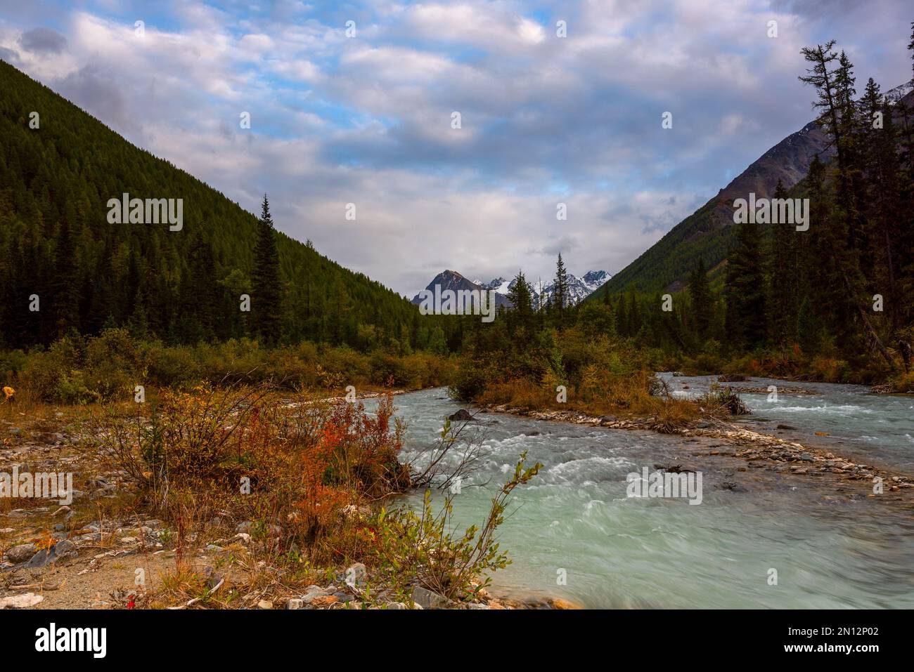 Le fleuve alpin Shavla coule dans la gorge des montagnes depuis les ...