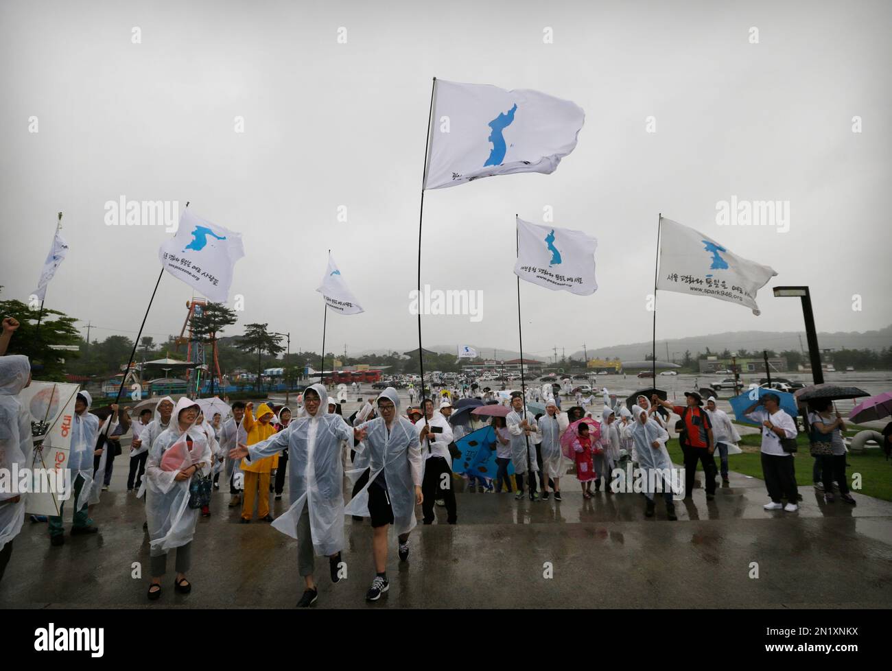 Participants with reunification flags march during a rally for peace ...