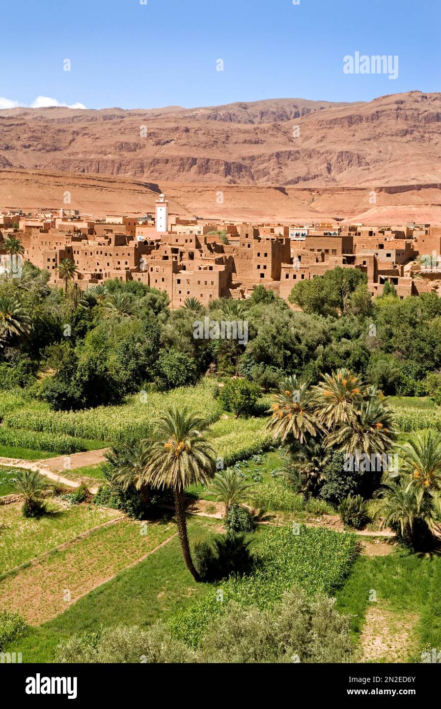 Oasis marocaine Banque de photographies et d’images à haute résolution ...