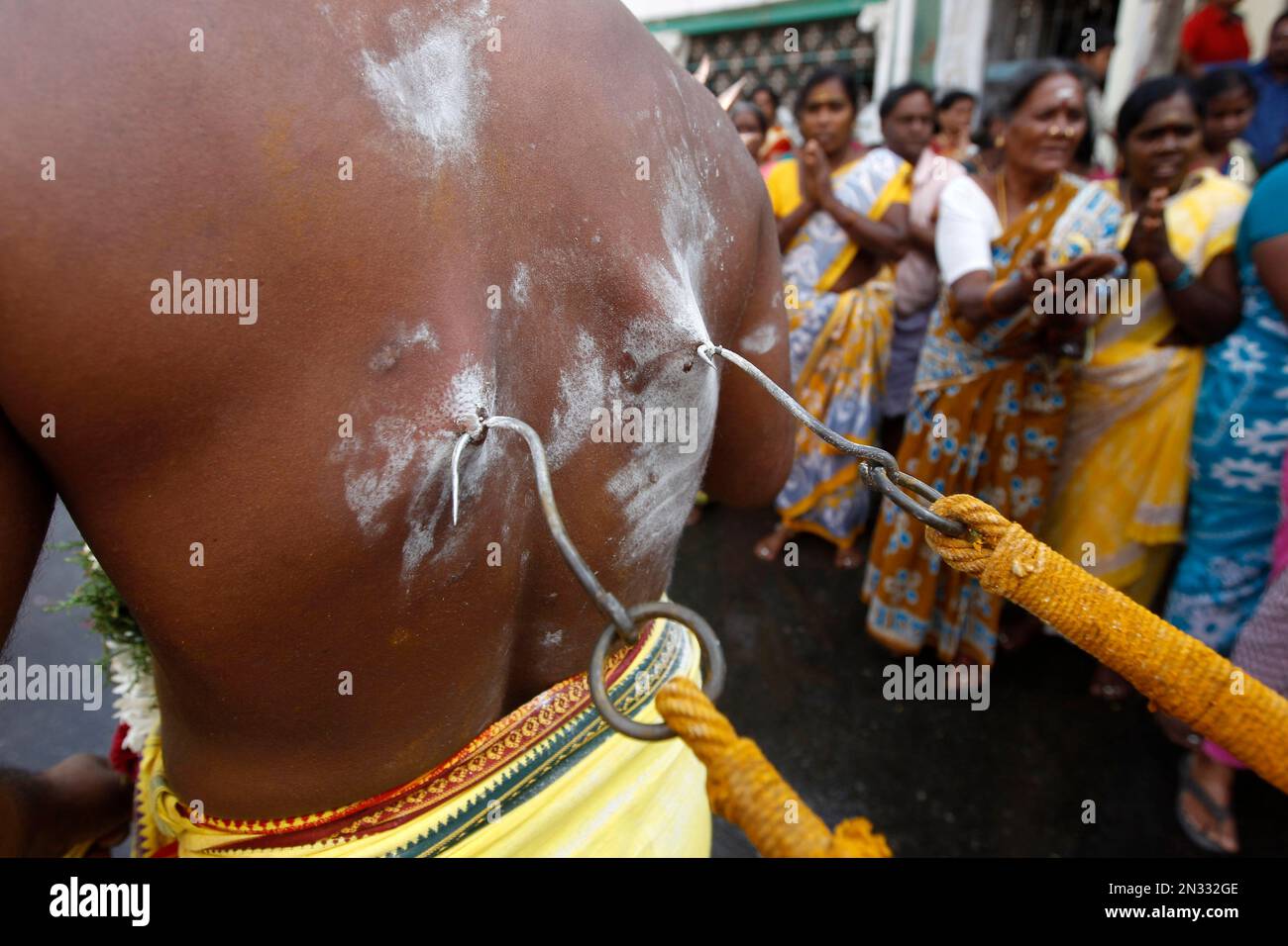 A Hindu devotee, his body pierced with metal hooks, pulls a chariot ...