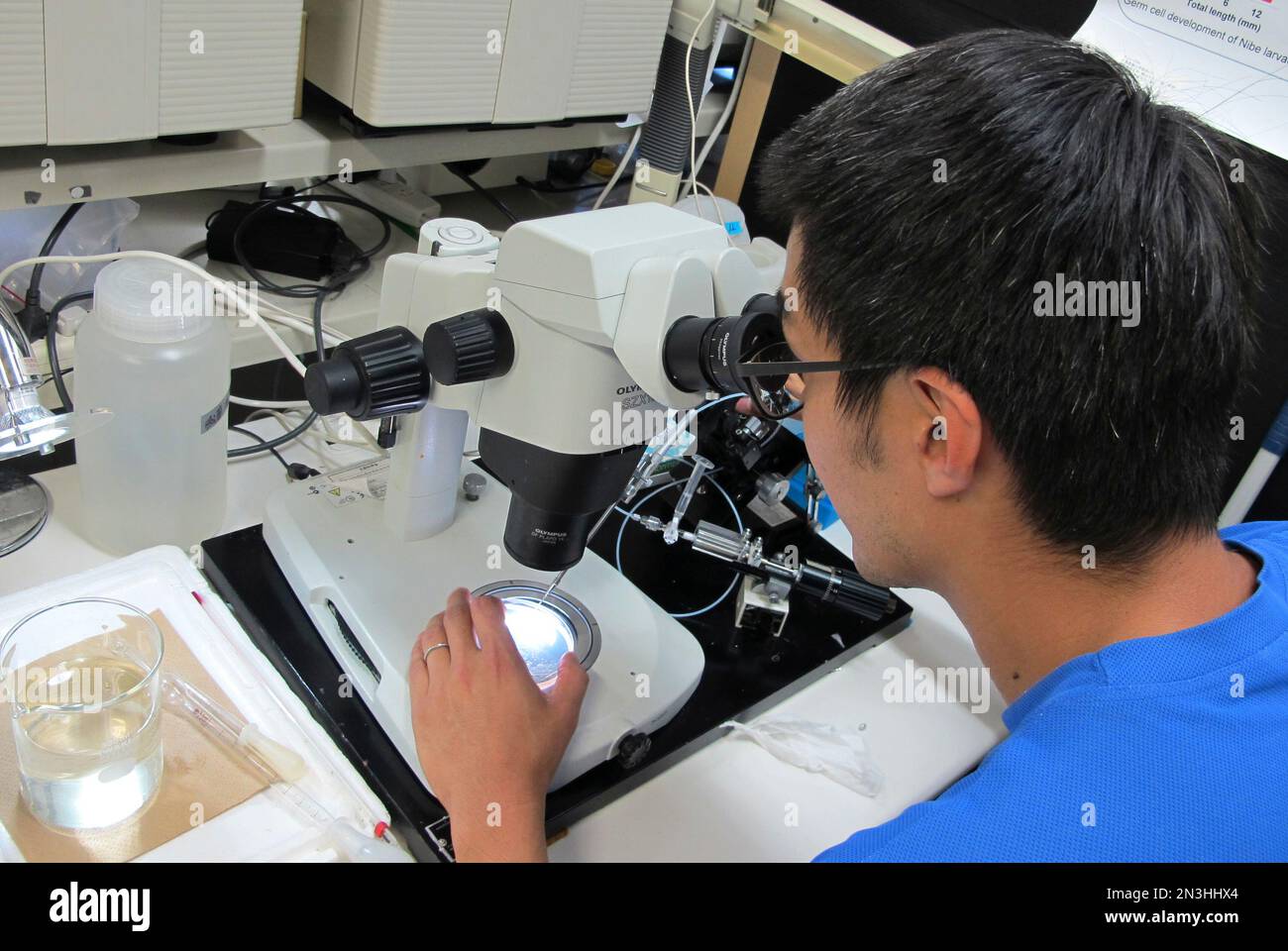In this photo taken Wednesday, Oct. 29, 2014, scientist Ryosuke Yazawa ...