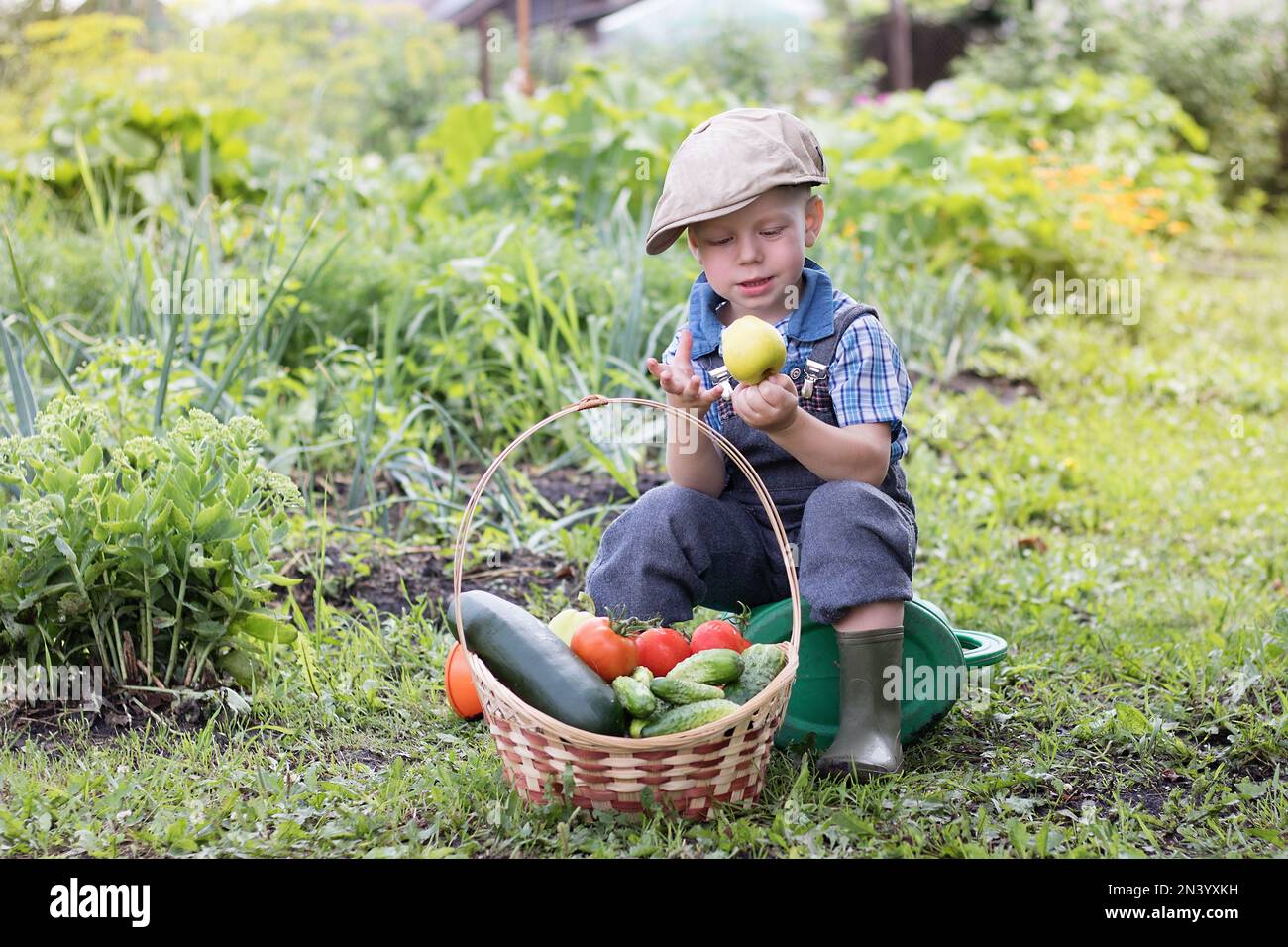 Petit garçon de ferme dans le jardin avec un panier de légumes. Un ...