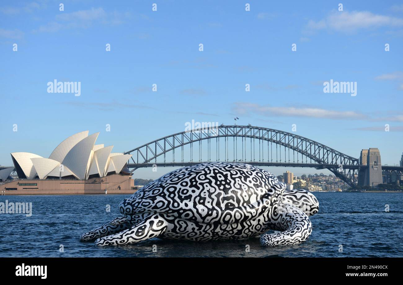 A huge floating Sea Turtle sculpture drifts past the Opera House and ...