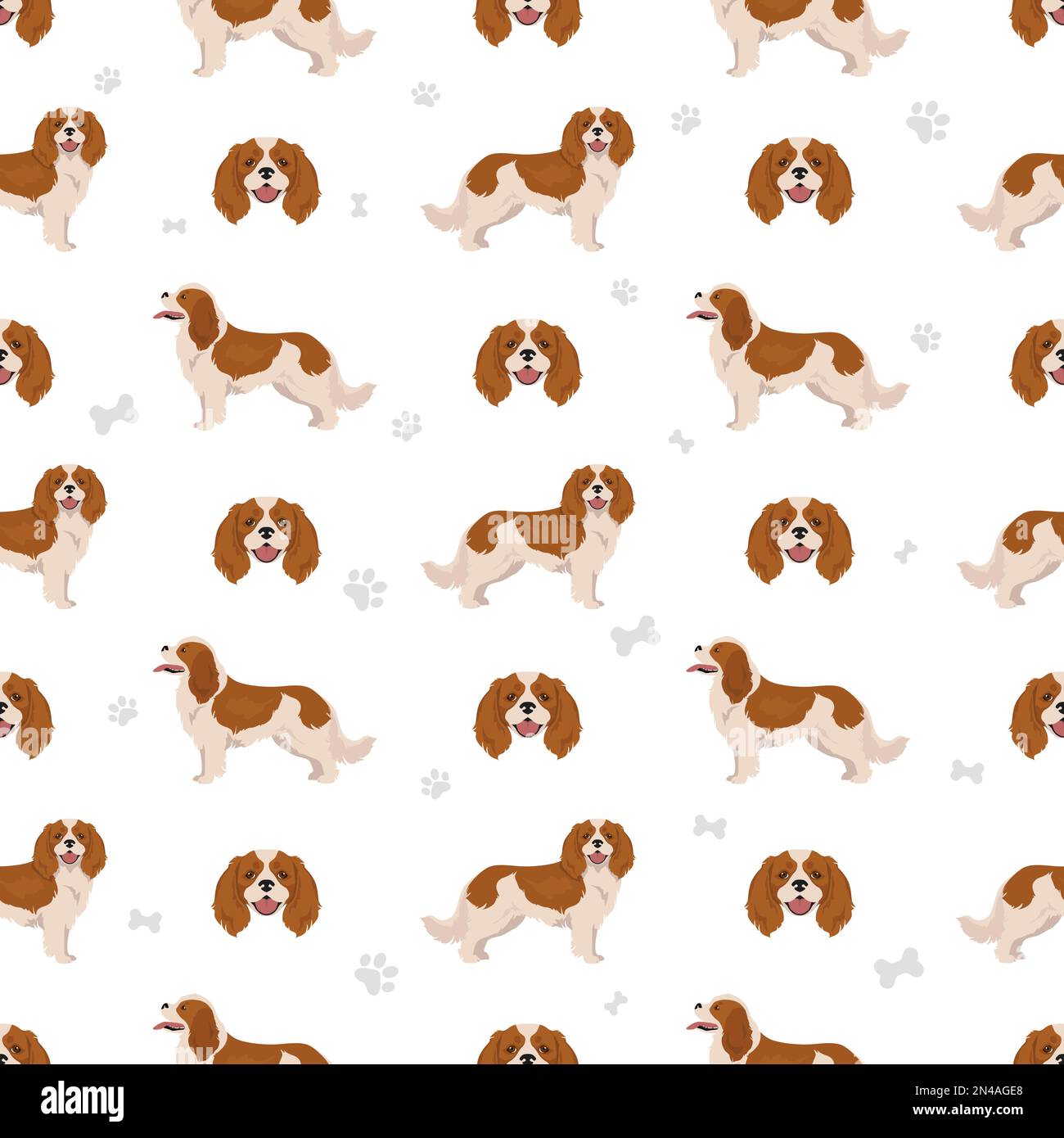 Cavalier noir et beige Banque d'images vectorielles - Alamy