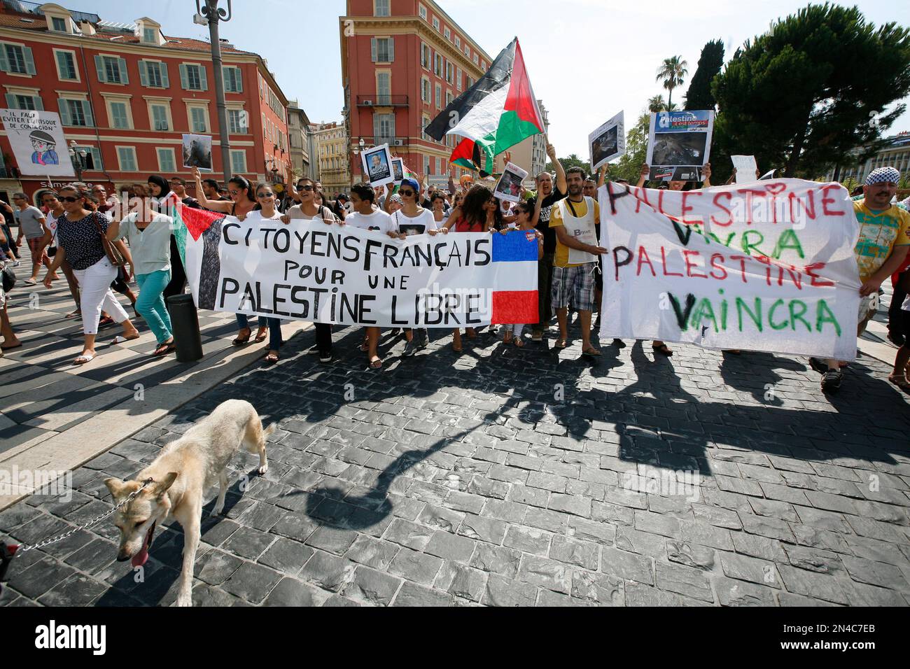 Demonstrators hold banners that read: "French Citizen for a Free ...