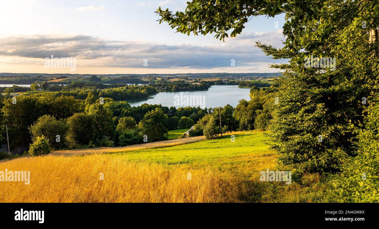 Vue panoramique sur le lac Jezioro Rekowo avec rives de forêt vues ...