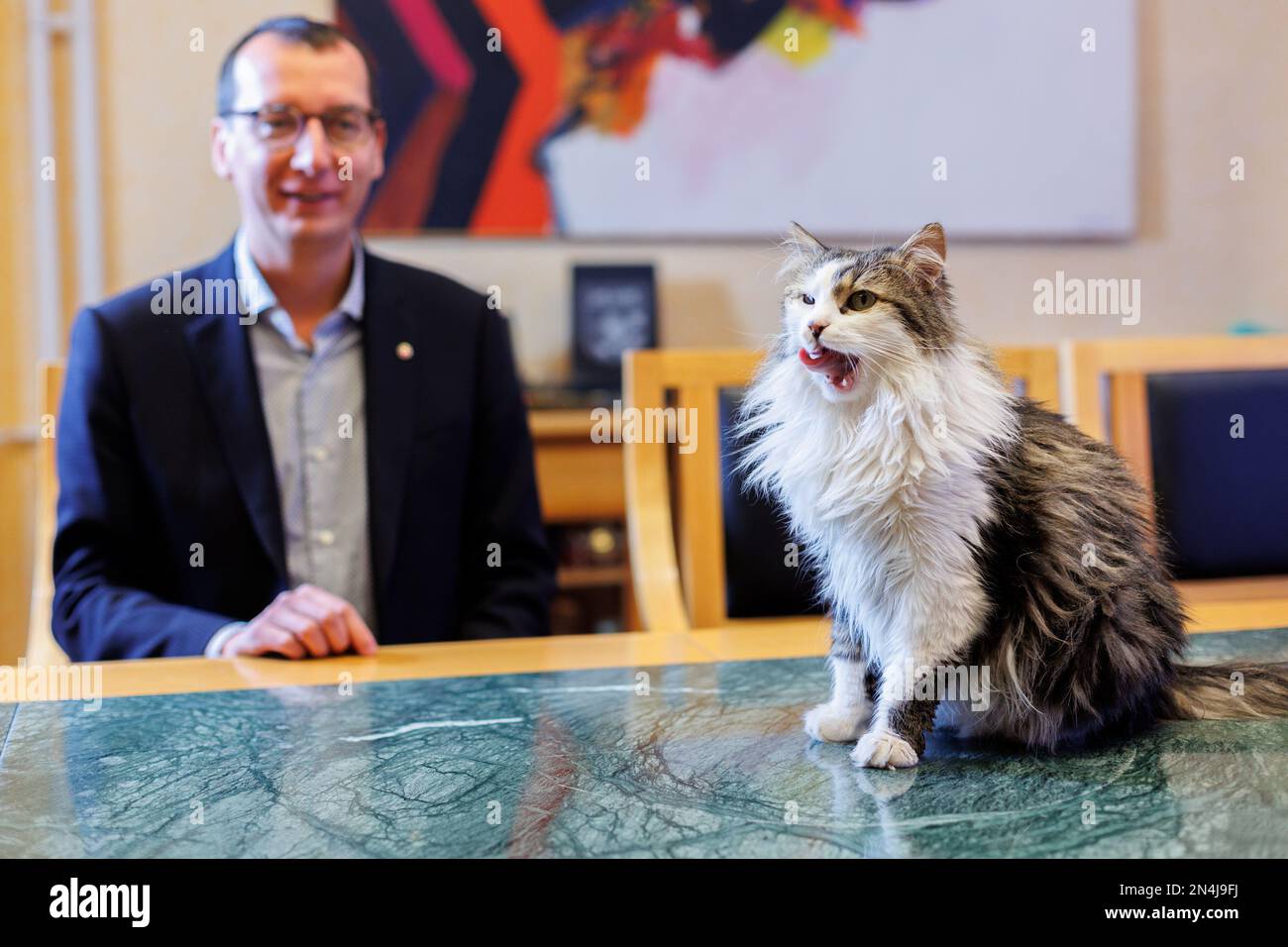 Adopté chat Misko, qui a été hérité par l'actuel maire de Rijeka Marko ...
