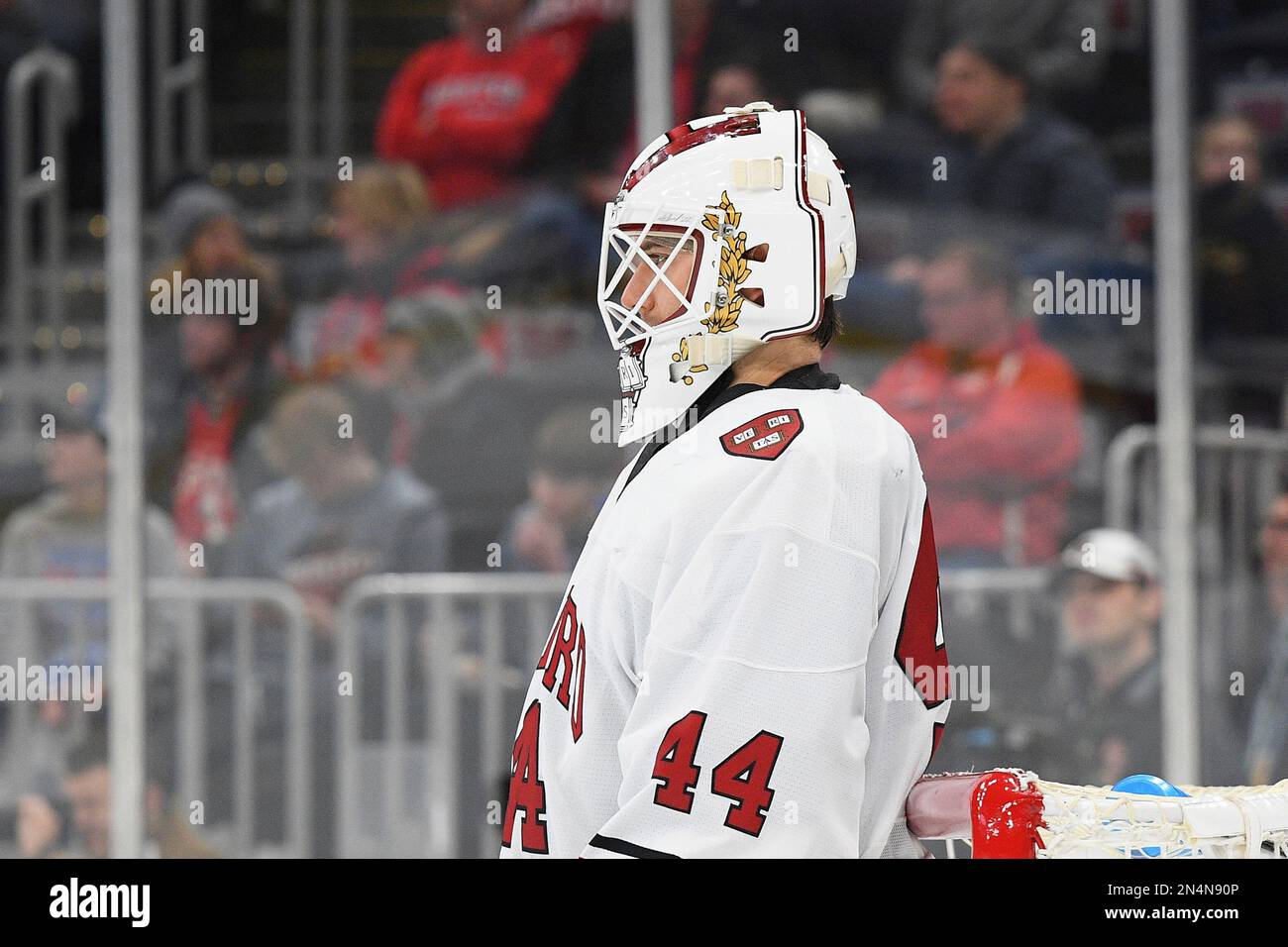 BOSTON, MA - FEBRUARY 06: Harvard Crimson goaltender Mitchell Gibson ...