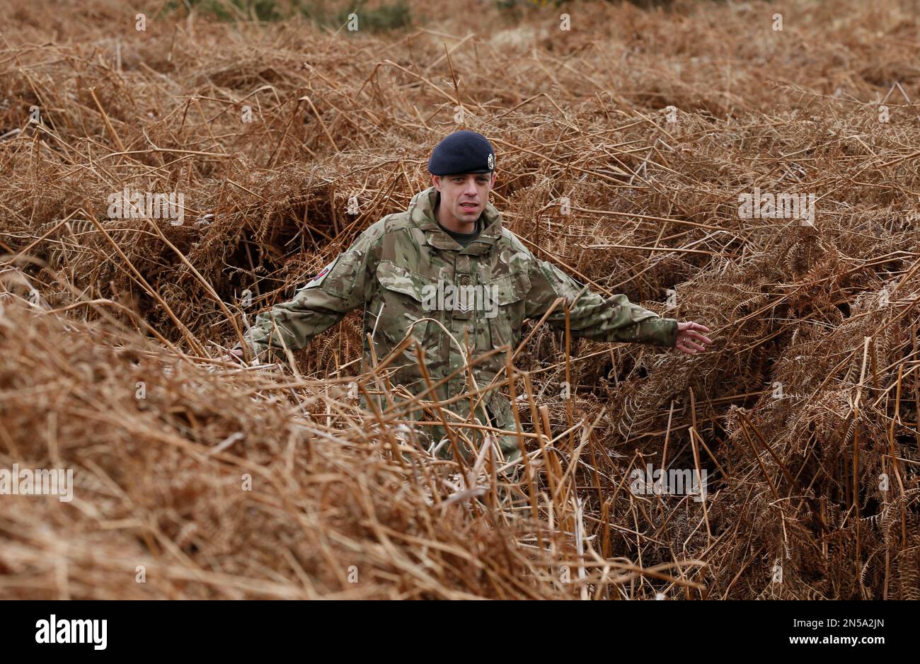 A British army officer walks on a WW1 practise trench as he poses for ...