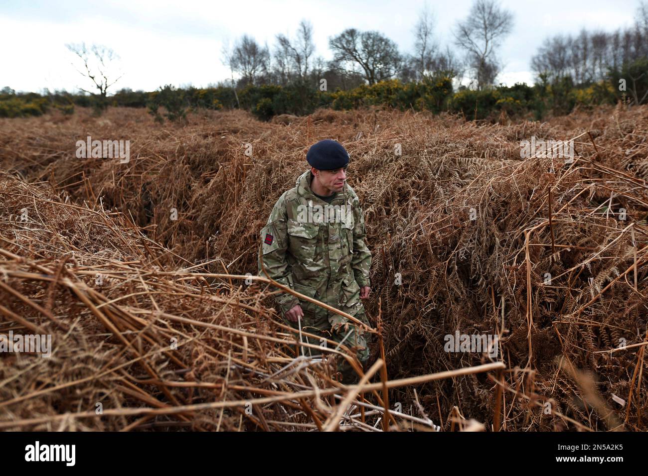 A British army officer walks on a WW1 practise trench as he poses for ...