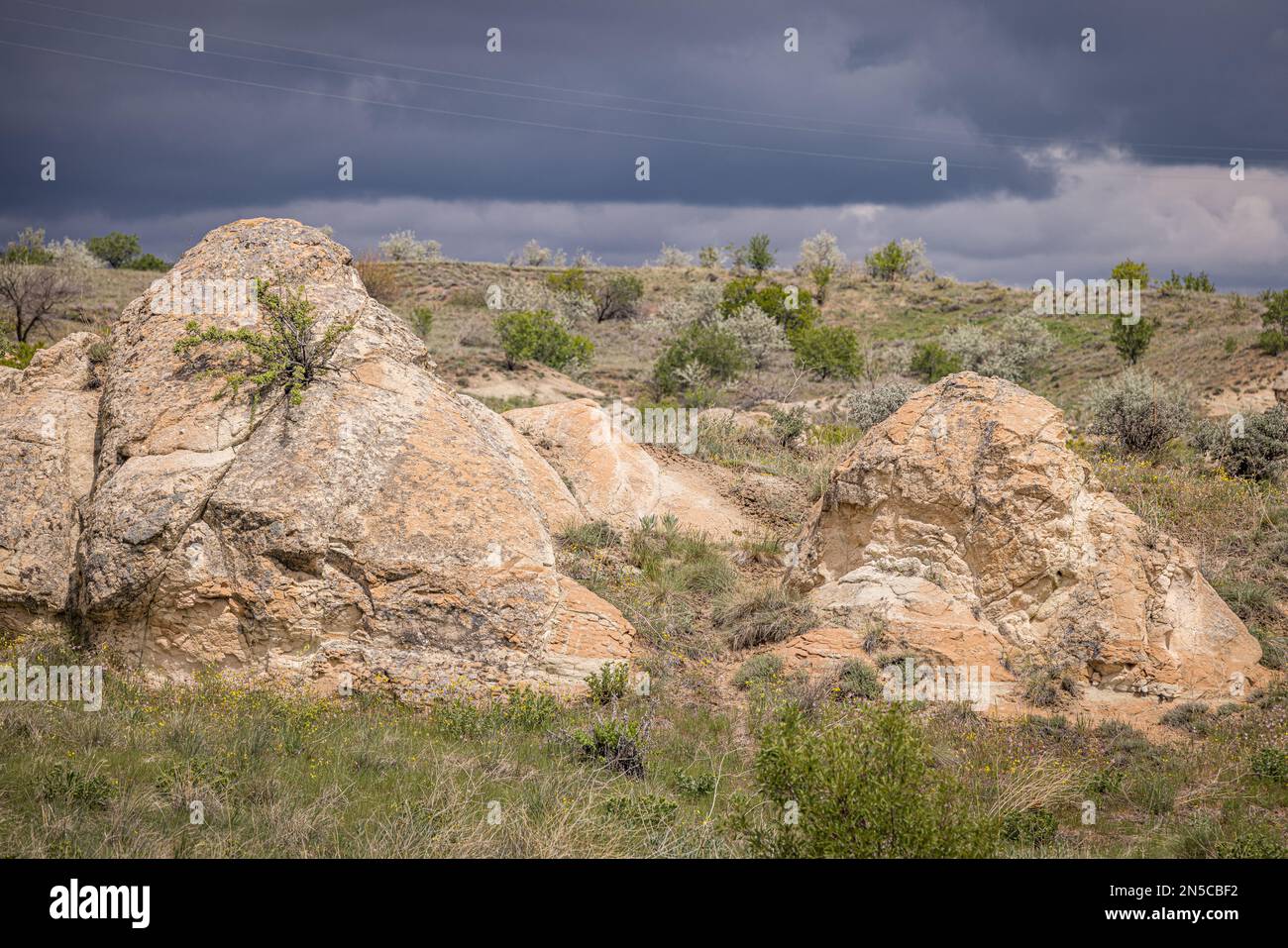 Kepez sarica Banque de photographies et d’images à haute résolution - Alamy
