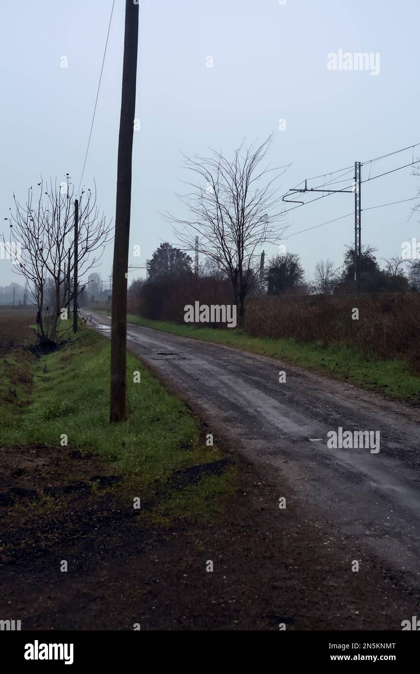 Route de terre avec des flaques bordées par un champ et des arbres au ...