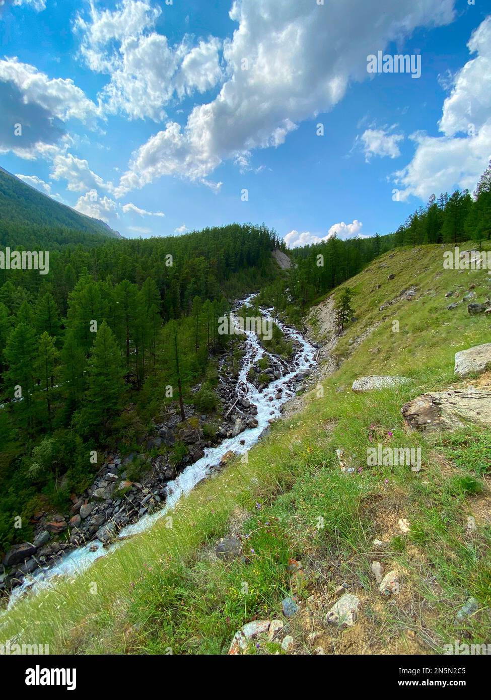 La rivière alpine coule sur des pierres des montagnes au milieu de la ...