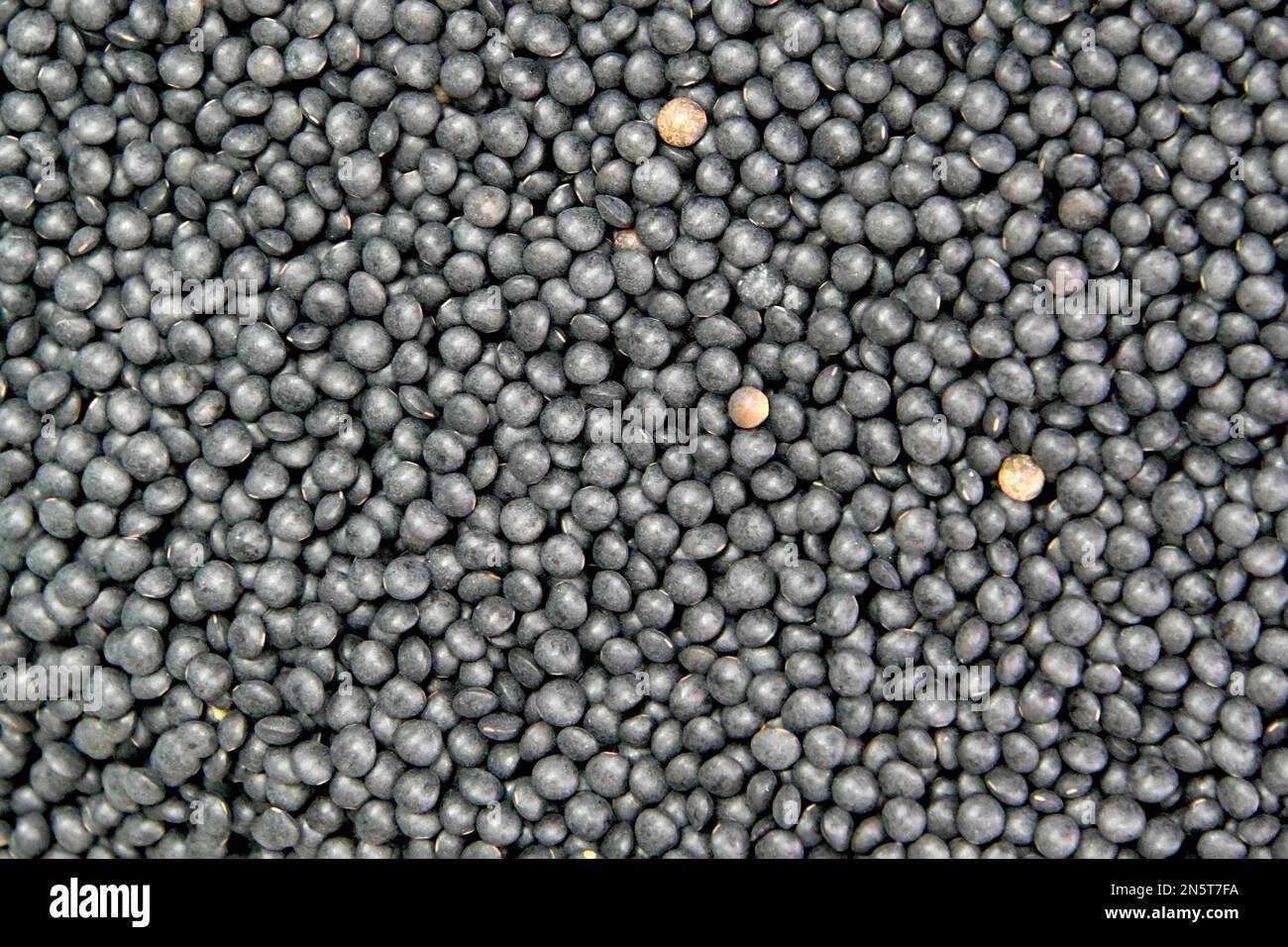 De lentilles noires Banque de photographies et d’images à haute ...