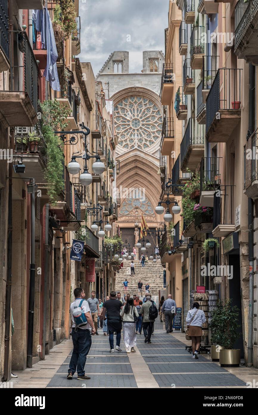 Cathédrale Basilique Metropolitan et primat de Santa Tecla la plus ...
