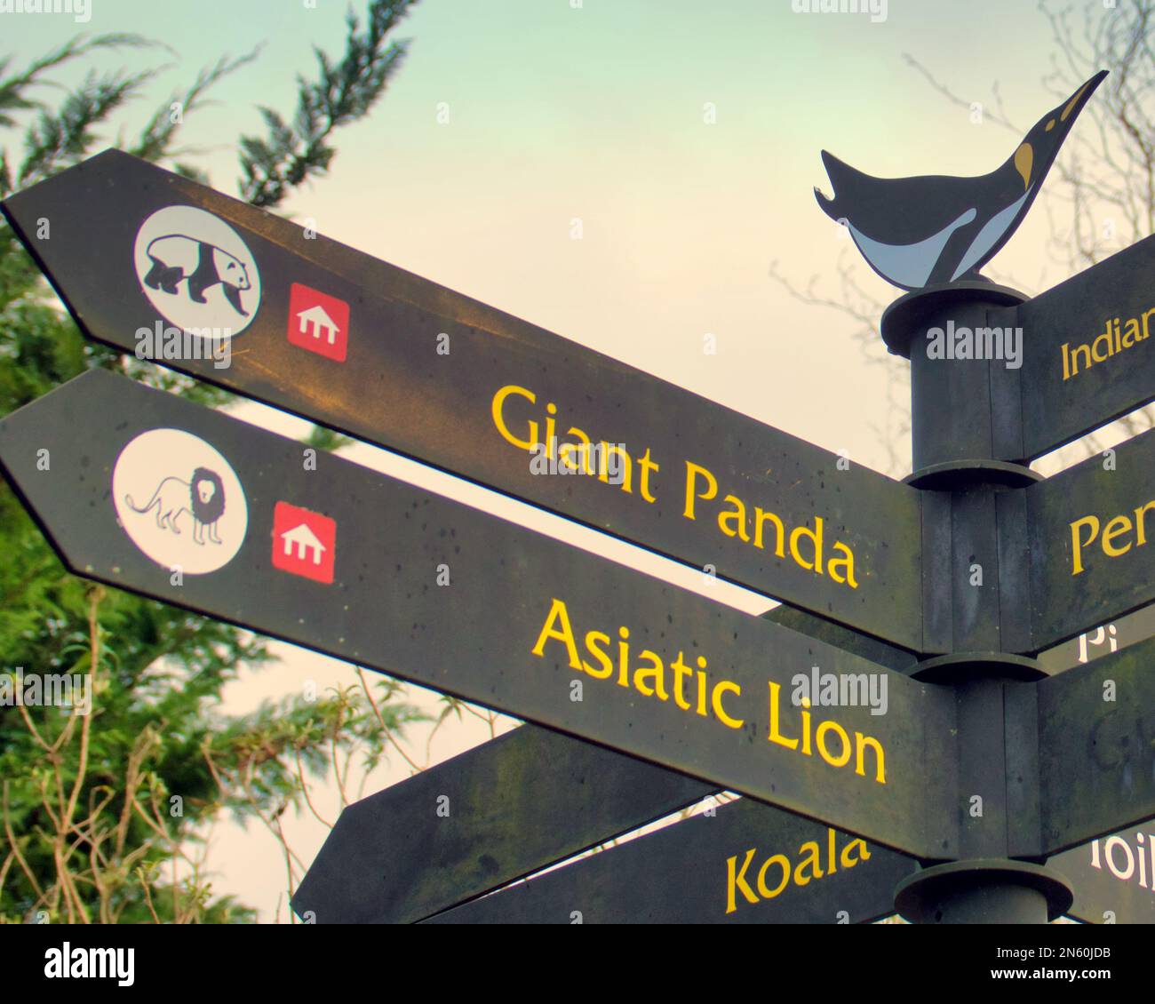 Zoo directions Banque de photographies et d’images à haute résolution ...