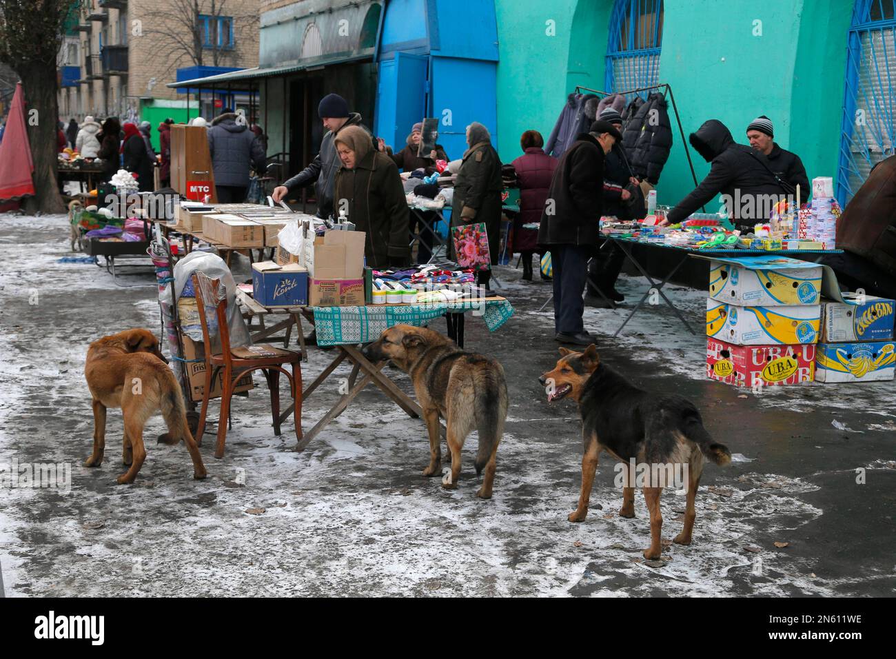 In this Friday, Dec. 6, 2013, photo, stray dogs wonder around a street ...