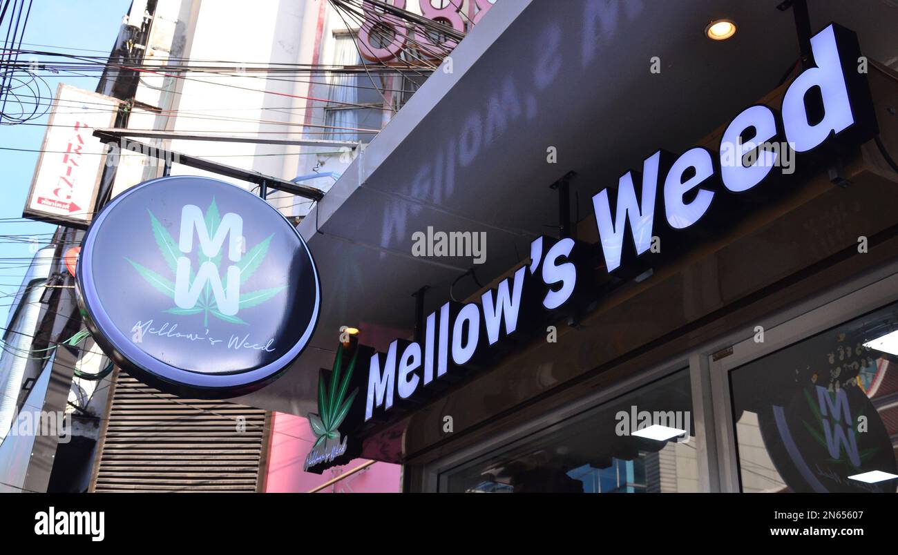 Une nouvelle boutique, Mellow's Weed, a ouvert ses portes en février ...