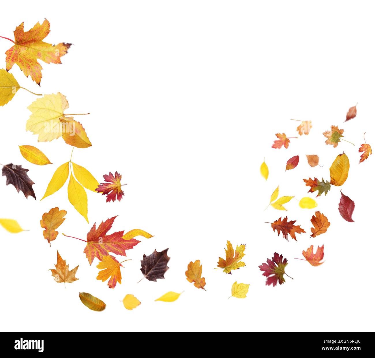 De nombreuses feuilles d'automne se déplacent par le vent de rafale sur ...