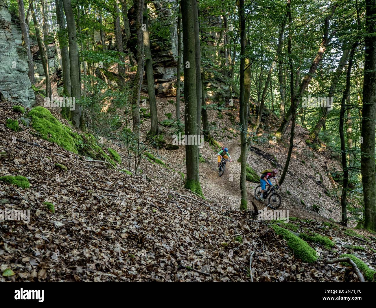 E-motard de montagne sur un seul sentier dans le Mullerthal. Chemin ...