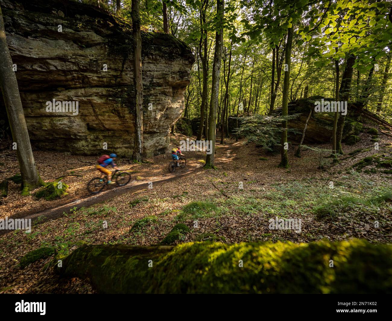 E-motard de montagne sur un seul sentier à Müllertal. Sentier forestier près d'Echternach. Le ...