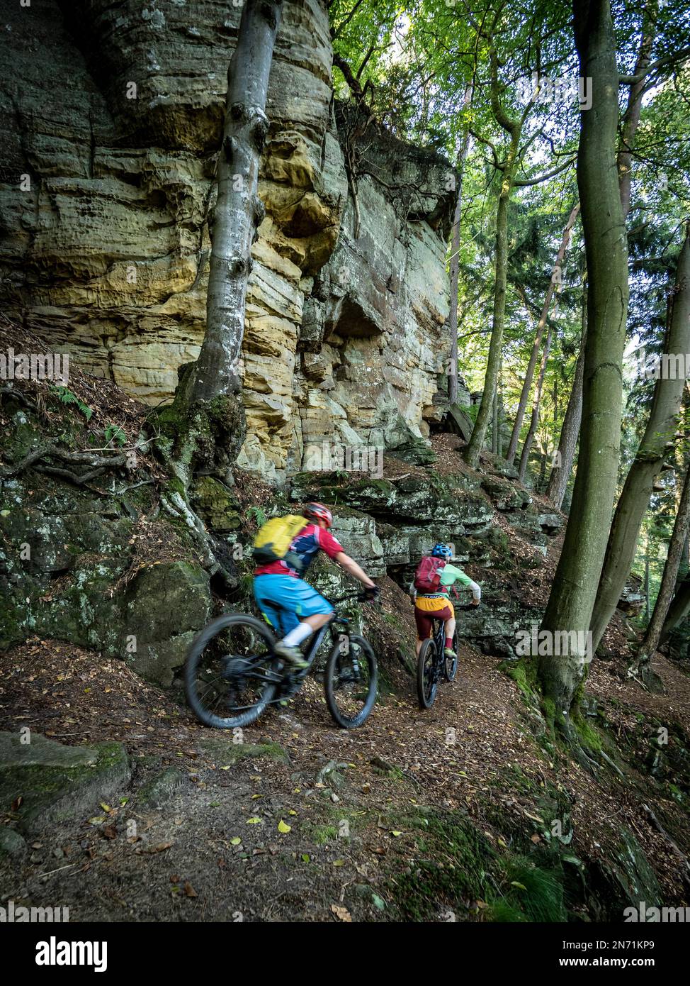 E-motard de montagne sur un seul sentier dans le Mullerthal. Chemin ...