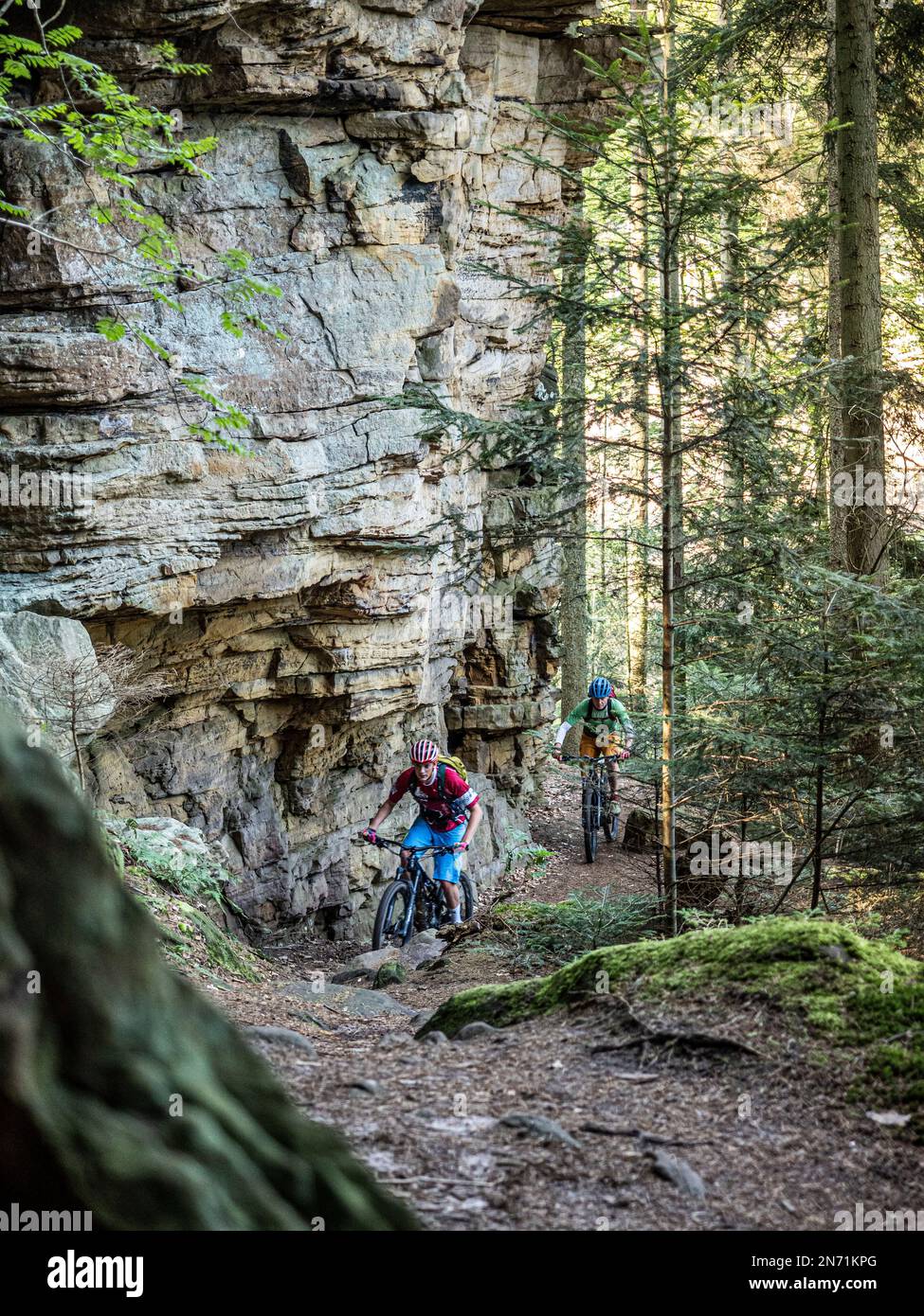 E-motard de montagne sur un seul sentier dans le Mullerthal. Chemin ...
