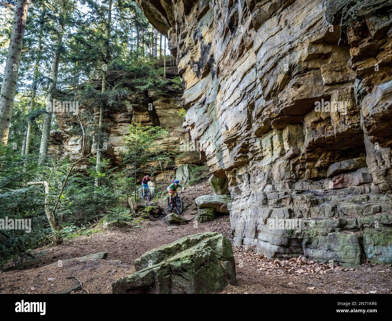 E-motard de montagne sur un seul sentier dans le Mullerthal. Chemin ...