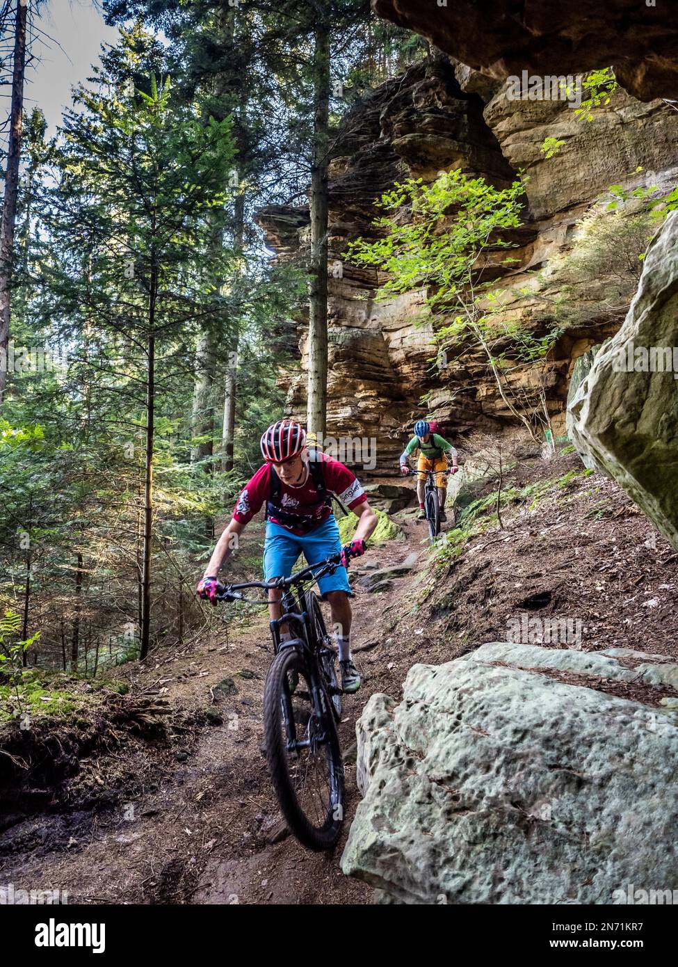 E-motard de montagne sur un seul sentier dans le Mullerthal. Chemin ...