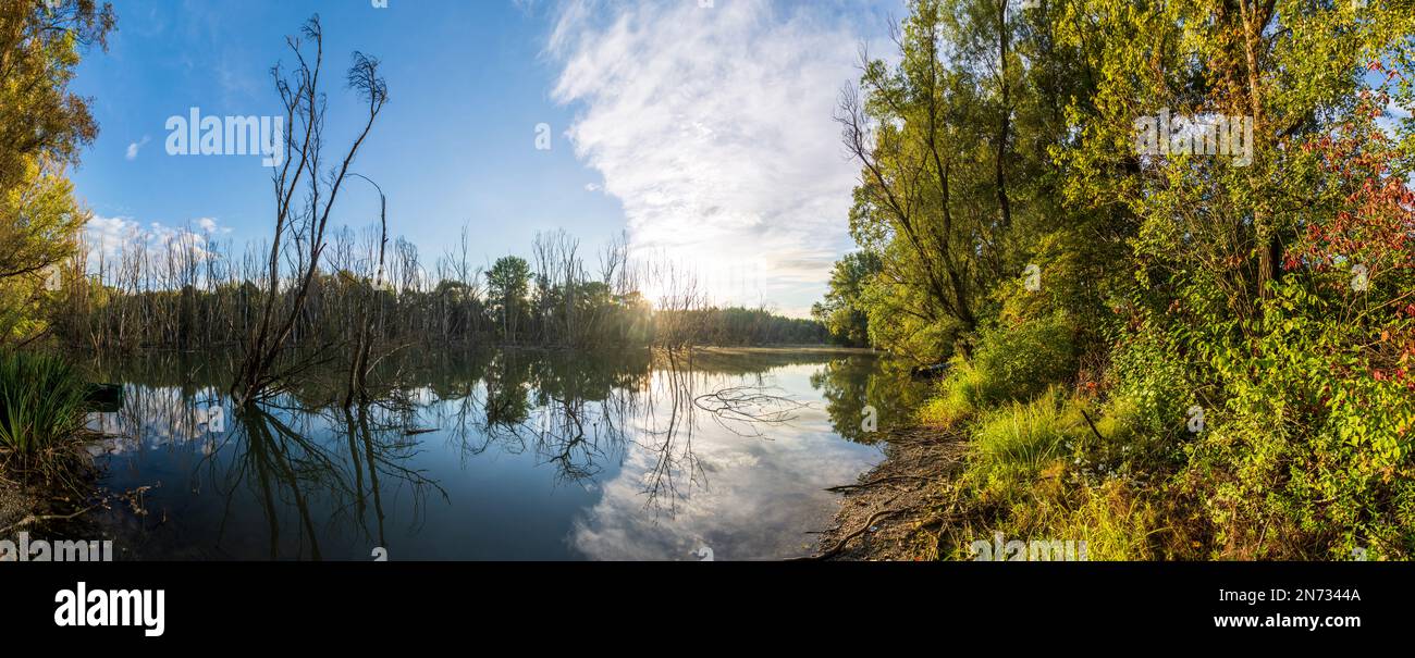 Szigetköz (île de Little Rye, Kleine Schüttinsel), anabranch, bras du ...
