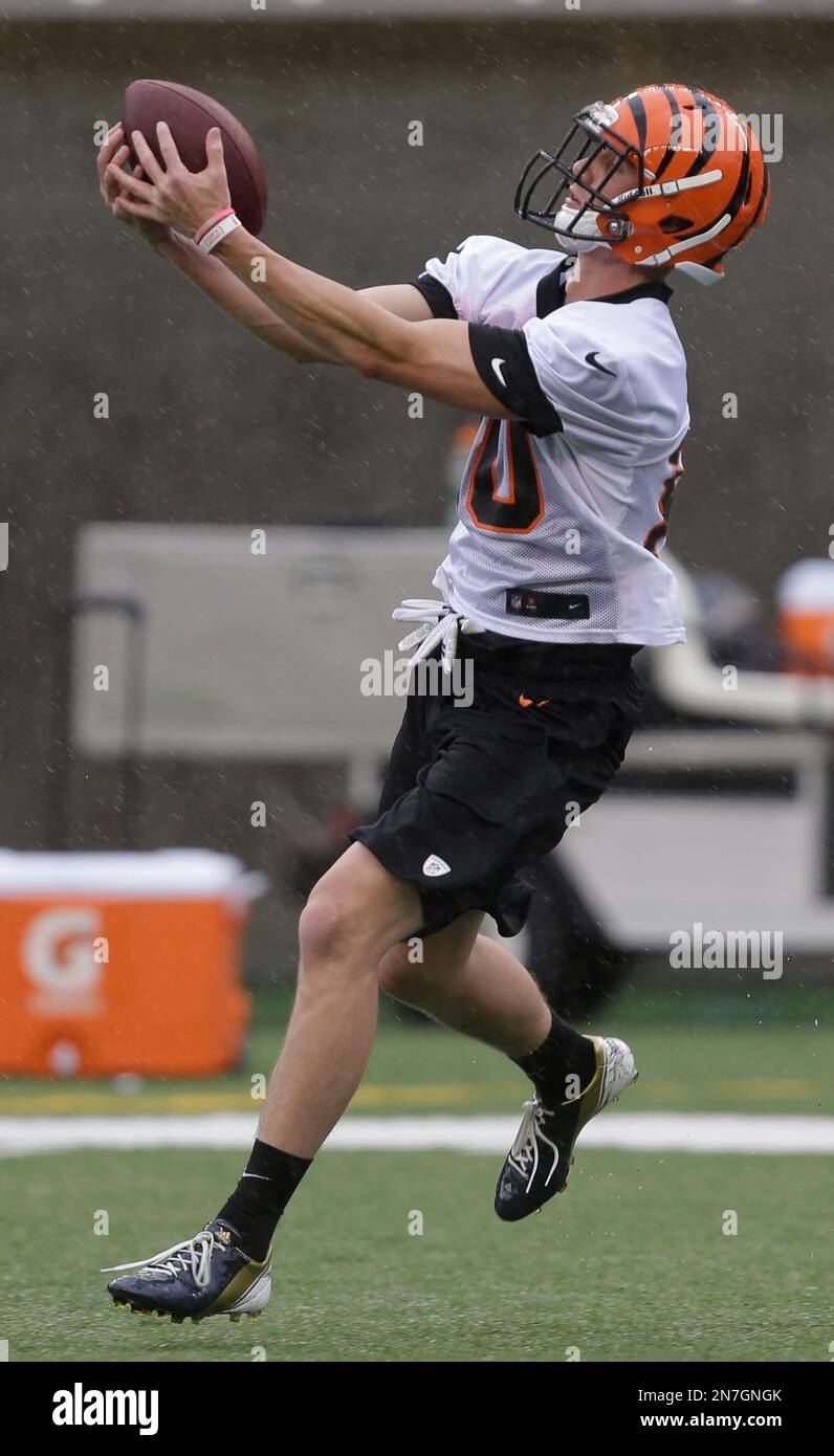 Cincinnati Bengals rookie wide receiver John Goodman catches a pass ...