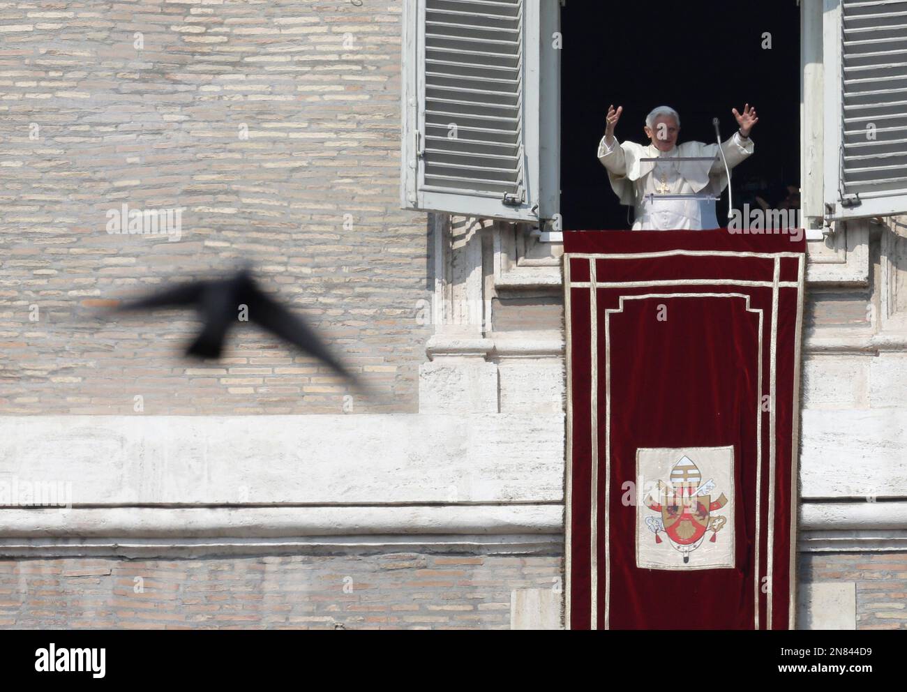 A pigeon flies next to Pope Benedict XVI as he waves to the faithful ...