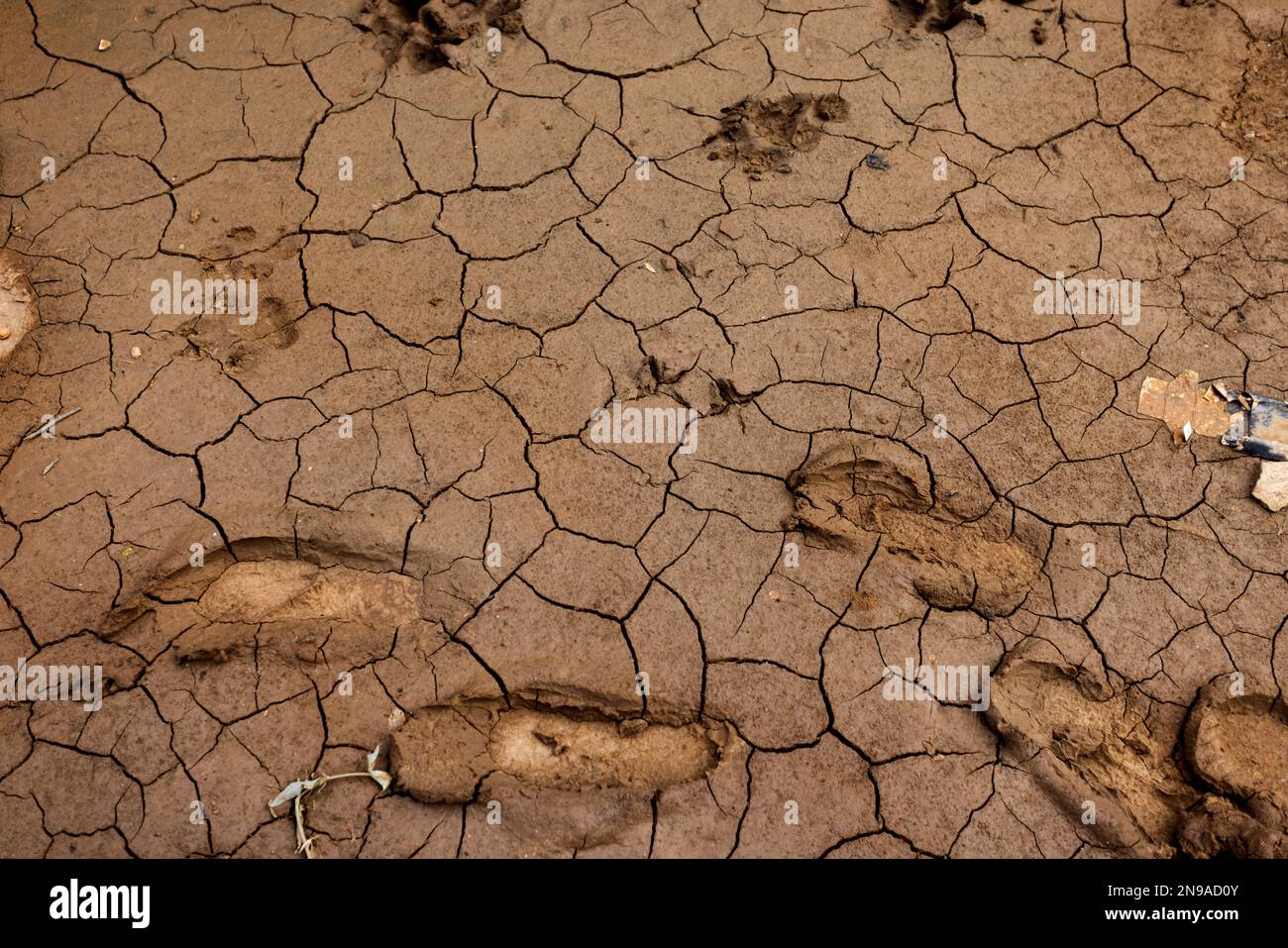 La texture de la terre sèche fissurée. Pénurie mondiale d'eau sur la ...