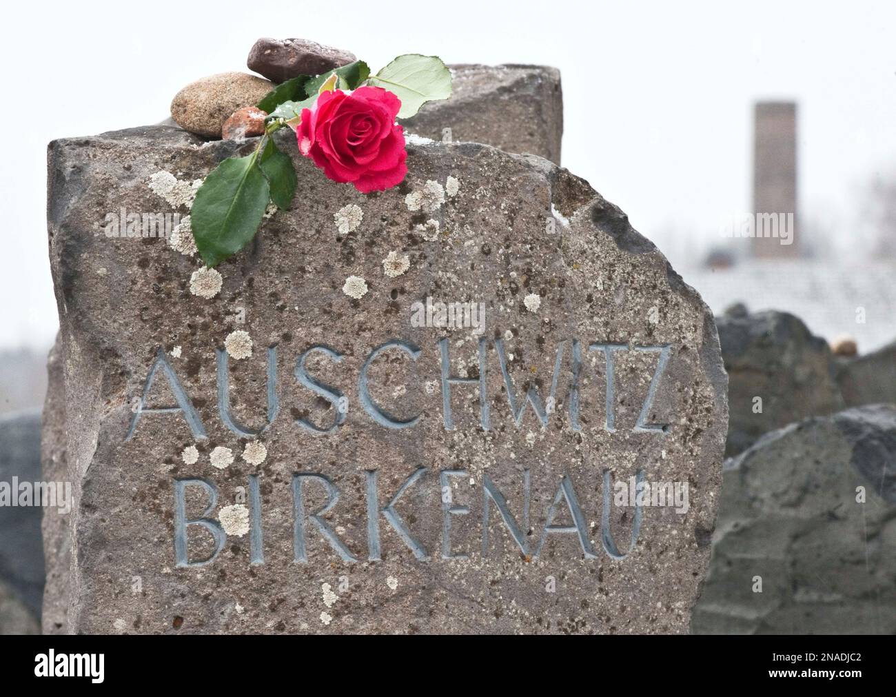 A lone flower tribute lays on a memorial stone in front of the ...